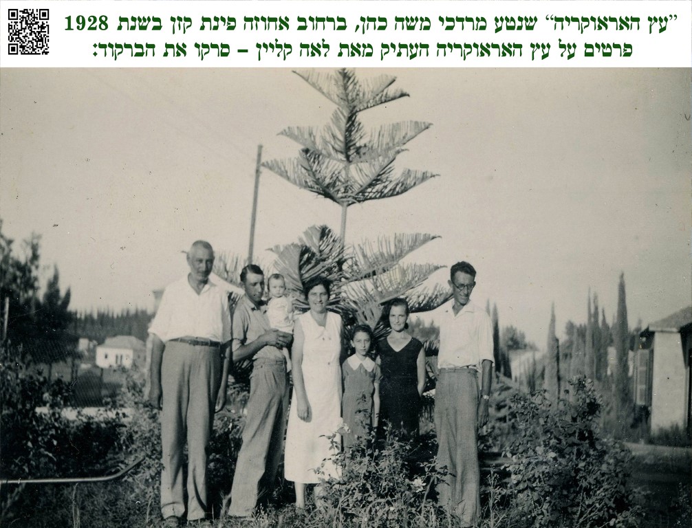 מסע בעקבות עצי המורשת של רעננה - מירי ישראלי - אמנות, טבע וסביבה
